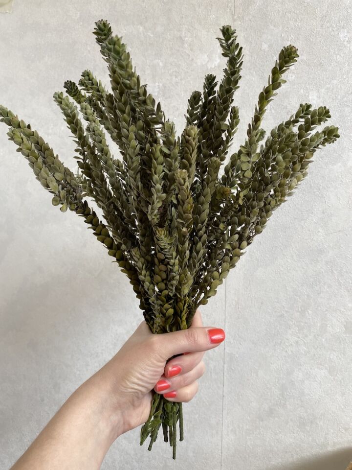 Silk Flower Stems, Artificial Berries & Foliage - Shop Online ...