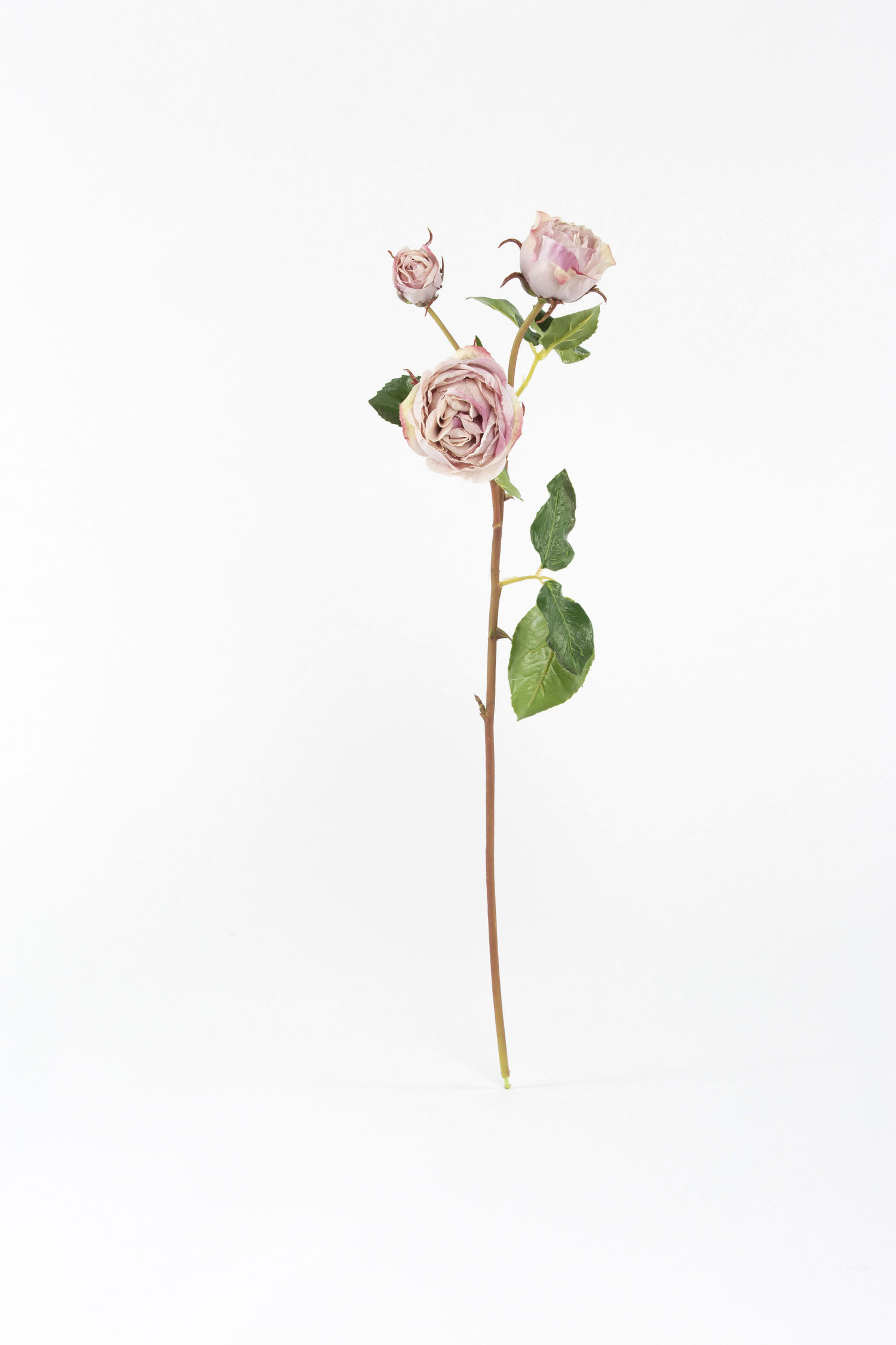 Silk Flower Stems, Artificial Berries & Foliage - Shop Online ...